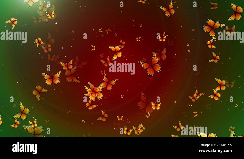Monarch butterflies swarm Stock Videos & Footage - HD and 4K Video ...