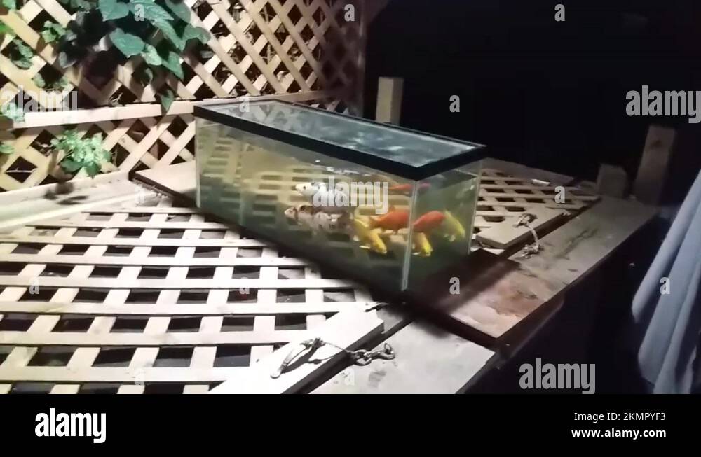 Inverted architecture Stock Videos & Footage - HD and 4K Video Clips ...