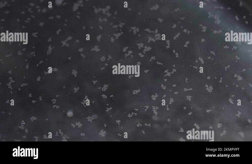 Steam water particles Stock Videos & Footage - HD and 4K Video Clips ...