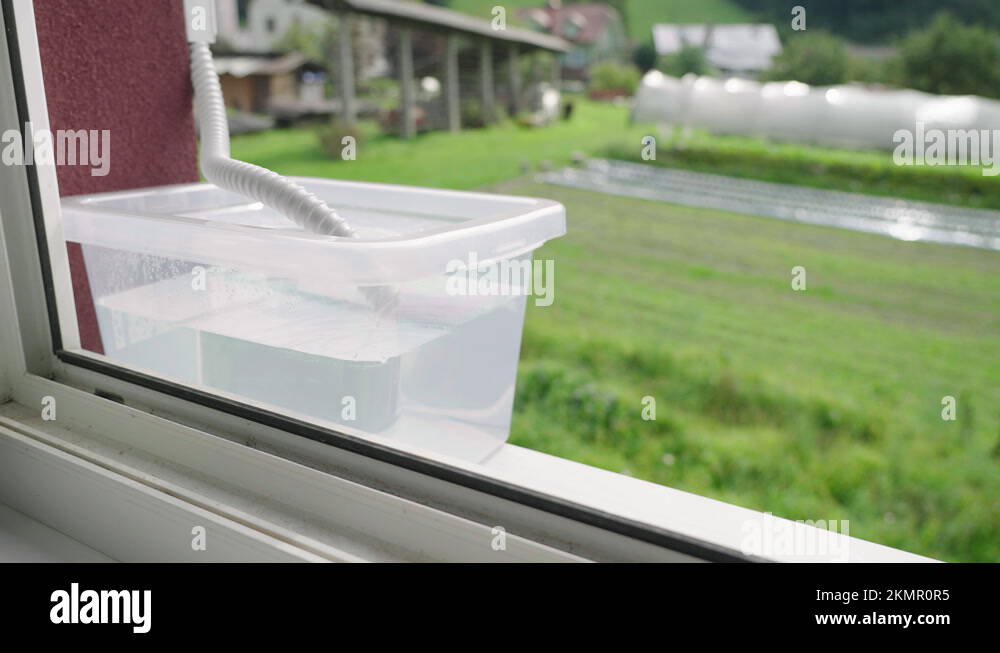 Water drainage container on outside window shelf 4K Stock Video Footage ...