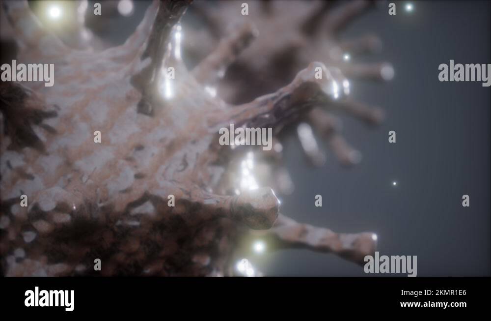 Bacteria virus or germs microorganism cells under microscope with depth ...