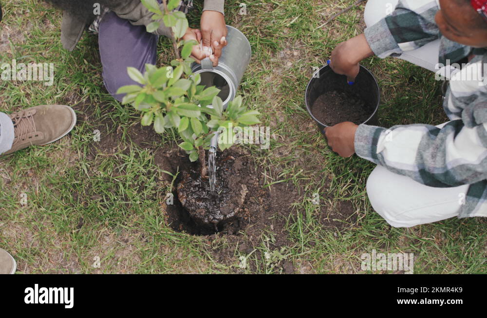 People planting tree together Stock Videos & Footage - HD and 4K Video ...