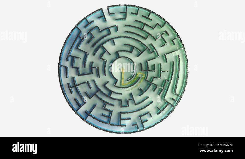 Circular maze animation with a solution. Artificial Intelligence Stock ...