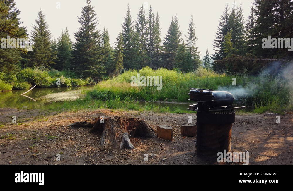 Barbeque in nature Stock Videos & Footage - HD and 4K Video Clips - Alamy