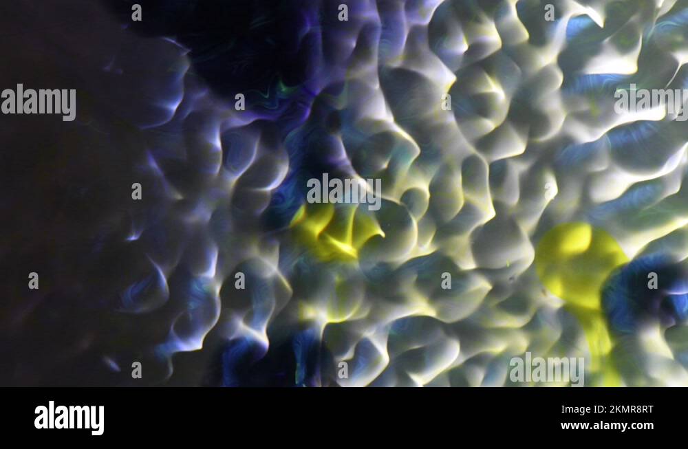 Busy texture Stock Videos & Footage - HD and 4K Video Clips - Alamy