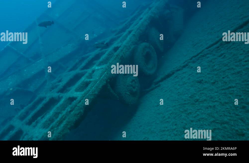 Dusky Grouper swims above truck on the shipwreck Swedish ferry MS ...