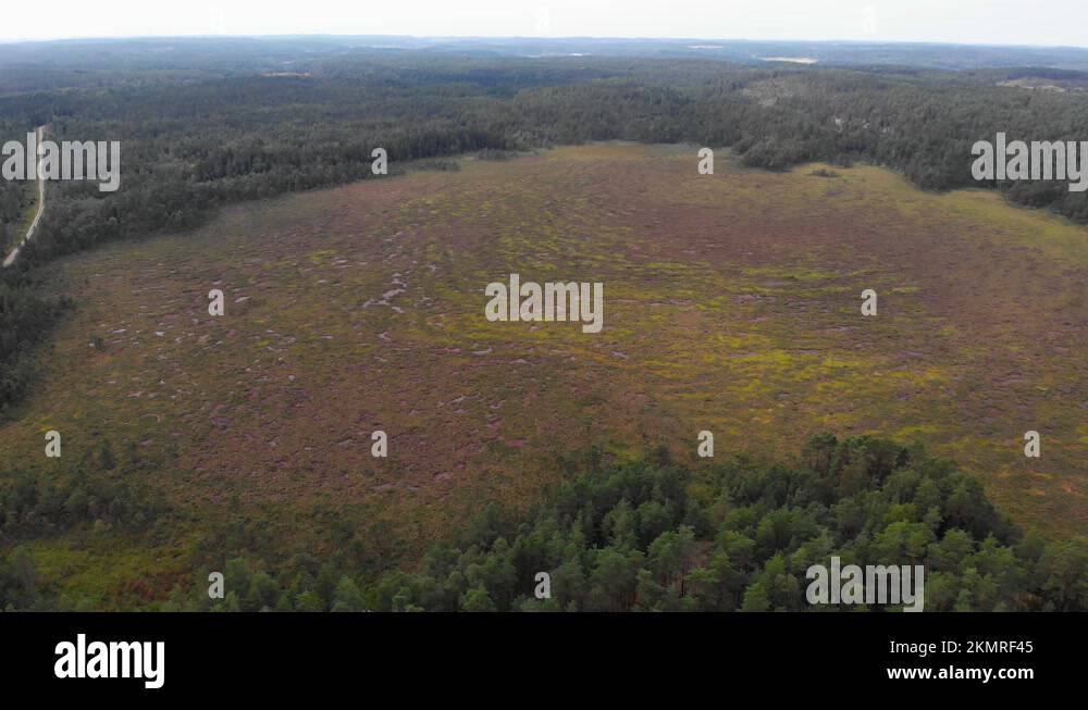 Landscape mire Stock Videos & Footage - HD and 4K Video Clips - Alamy