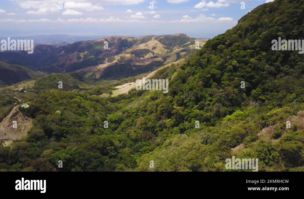 Two different states of a forest in the same frame: dry and rainforest ...