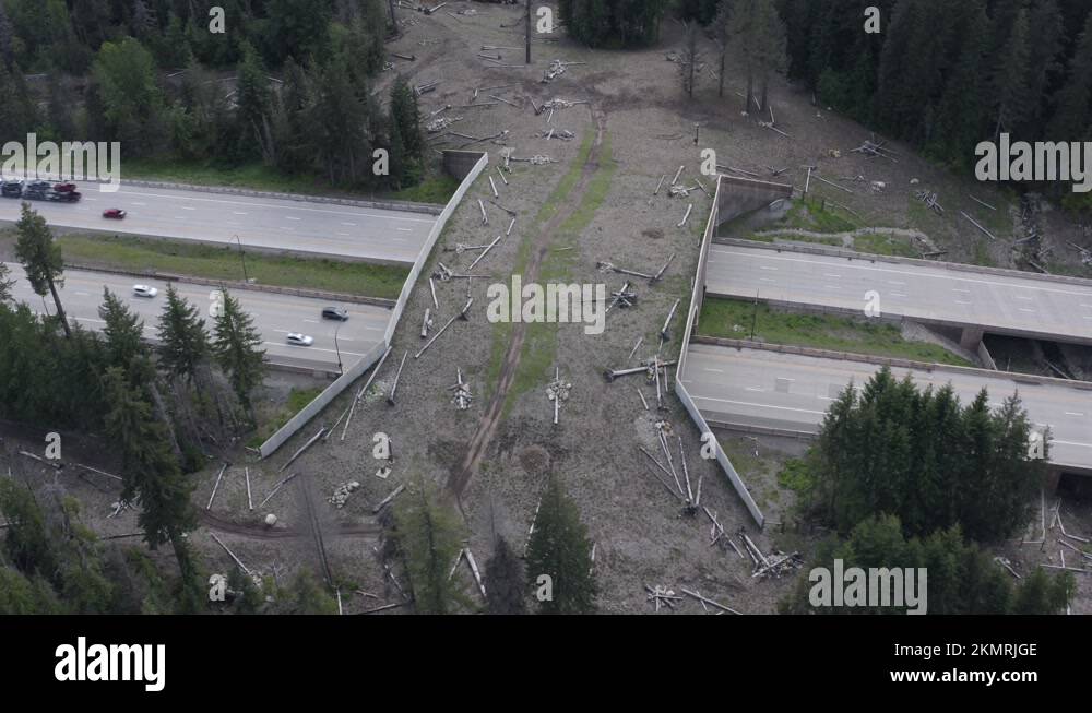 Wildlife Overpass I-90 Freeway Snoqualmie Pass Washington State Drone ...