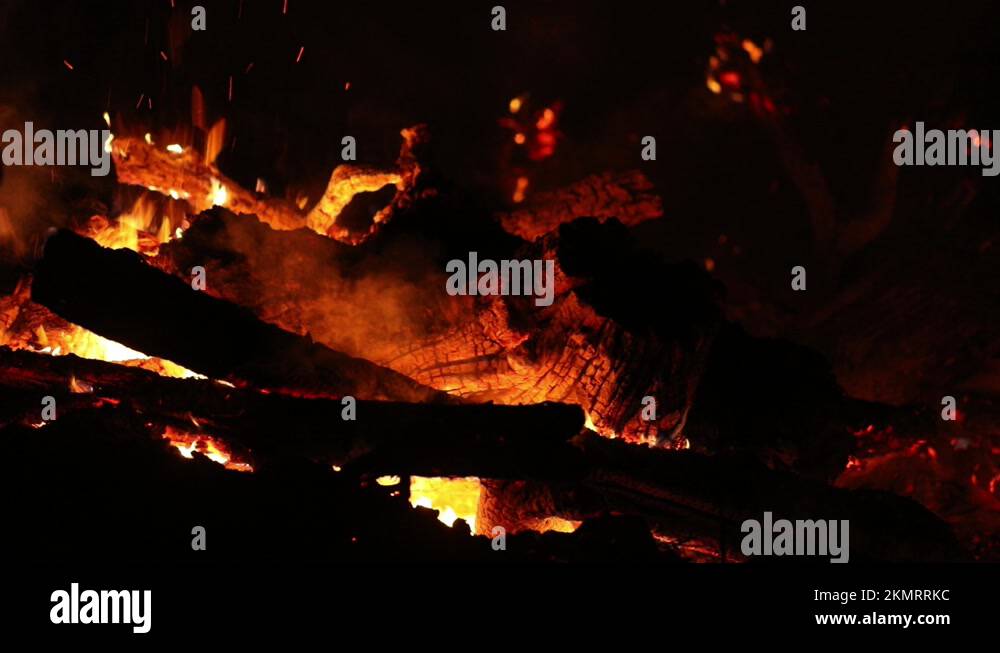 Intensely hot flames burn in the Amazon rain forest in a drought year ...