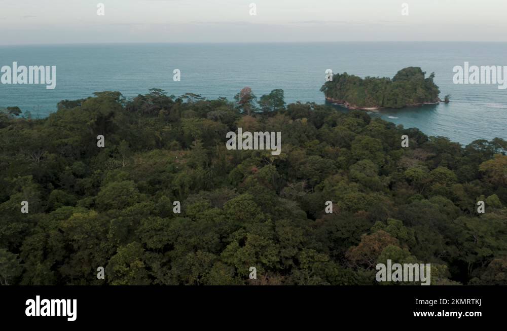 Mona island Stock Videos & Footage - HD and 4K Video Clips - Alamy