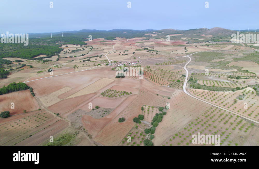 Quercus cerris leaf Stock Videos & Footage - HD and 4K Video Clips - Alamy