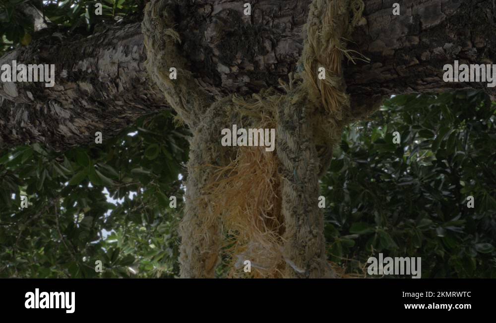 Rope strand Stock Videos & Footage - HD and 4K Video Clips - Alamy