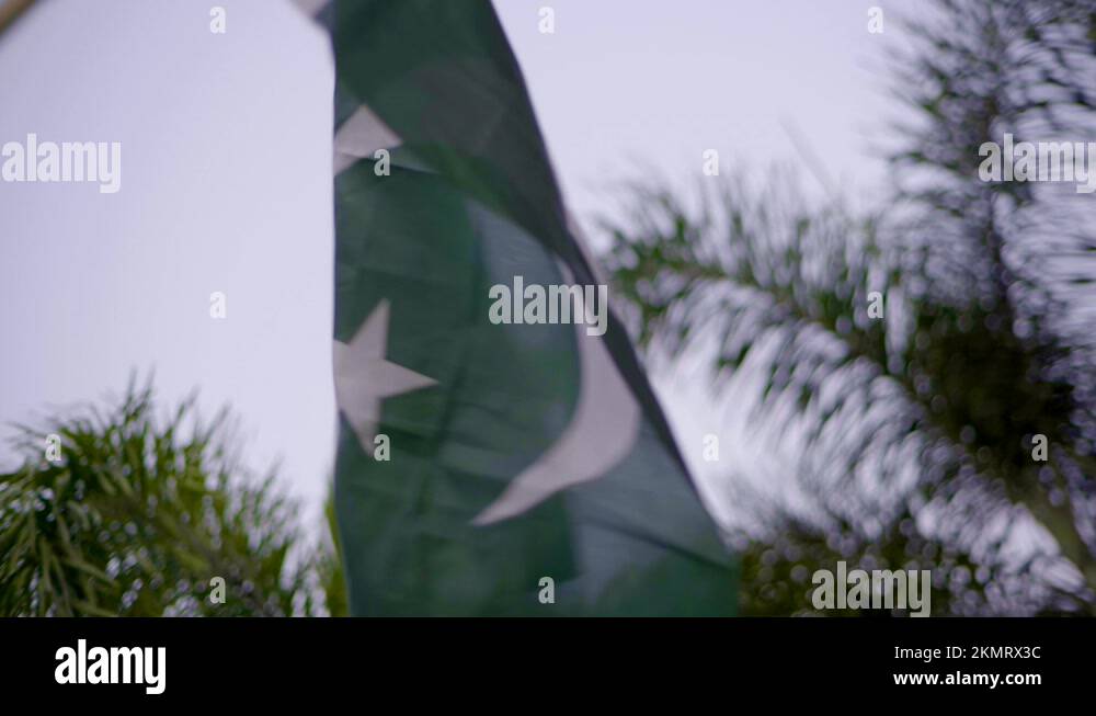 National Flag Of Pakistan Flying In the Wind, Patriotic Symbol Of ...