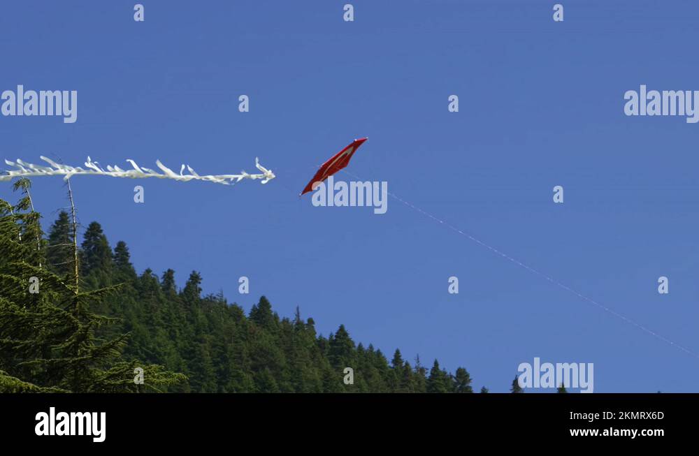 Turkish flag kite flying in the sky. forest in the background. 4K Stock ...