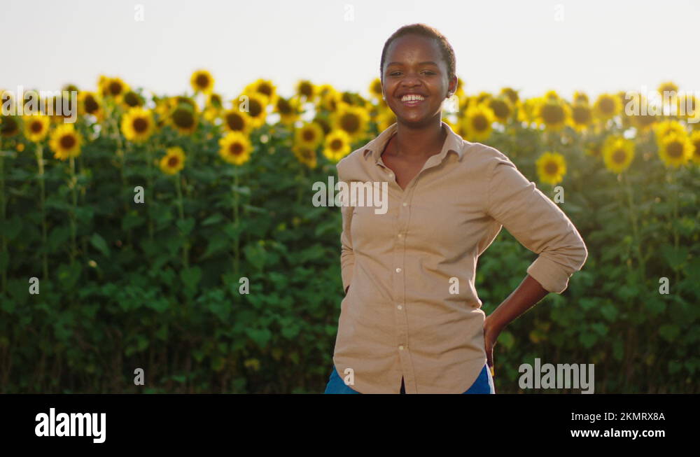 African sunflower Stock Videos & Footage - HD and 4K Video Clips - Alamy