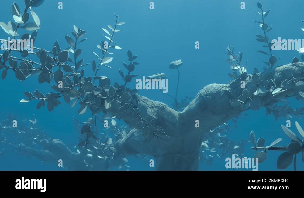 Museum of Underwater Sculpture Ayia Napa (MUSAN), Cyprus Stock Video ...