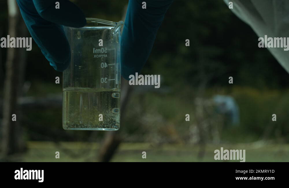 Process of taking water analysis from swamp, using flask and pipette ...