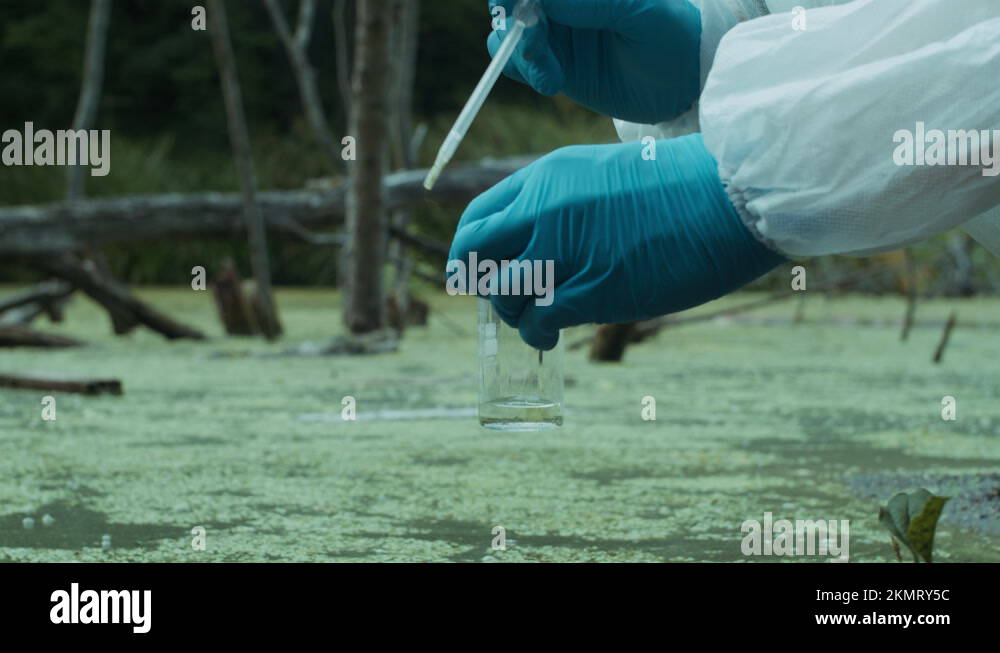 Process of taking water analysis from swamp, using flask and pipette ...