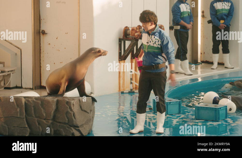 Performance Of A Trained Seal In Sendai Umino-Mori Aquarium, Male ...