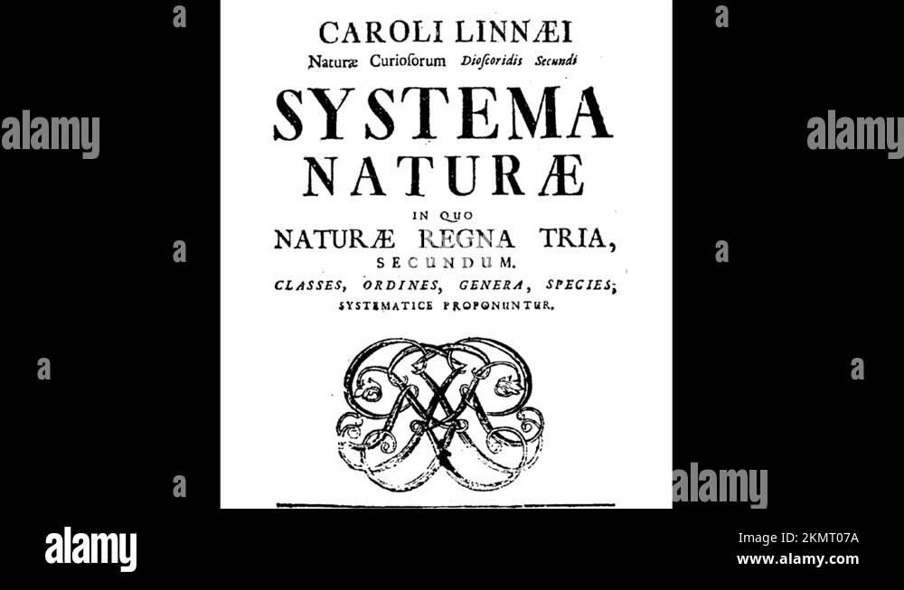 Carl linnaeus plants Stock Videos & Footage - HD and 4K Video Clips - Alamy