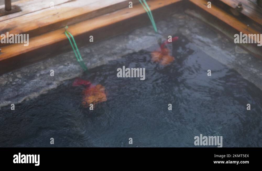 Japan spring water bath Stock Videos & Footage - HD and 4K Video Clips ...