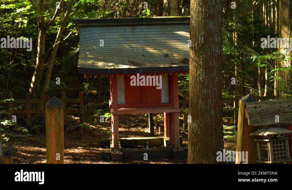 Japan forest pilgrimage Stock Videos & Footage - HD and 4K Video Clips ...