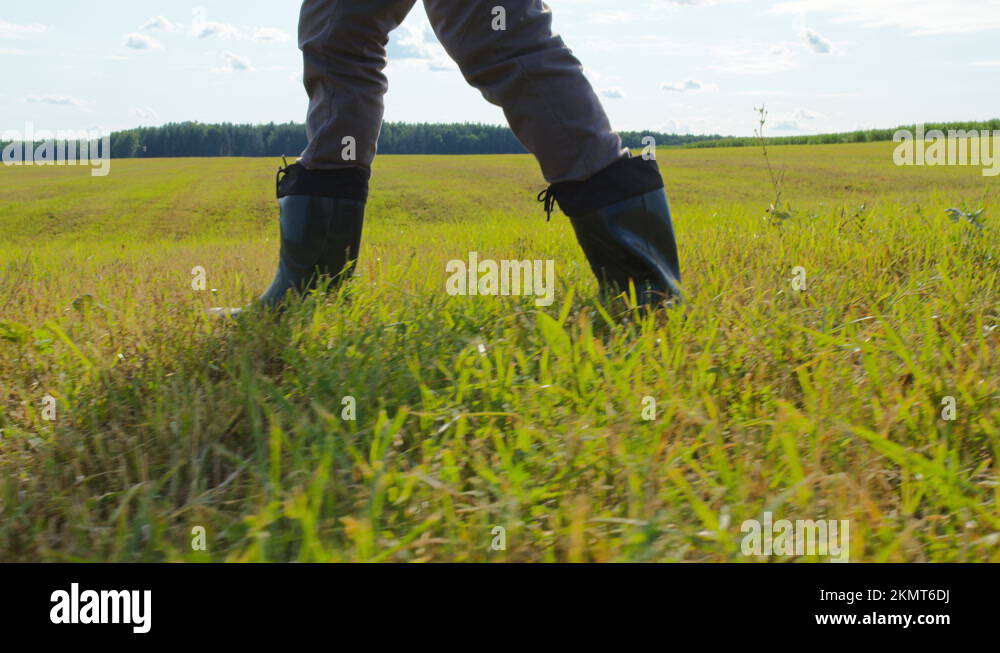Farmer feet wearing rubber boots walking in mown field. View of ...