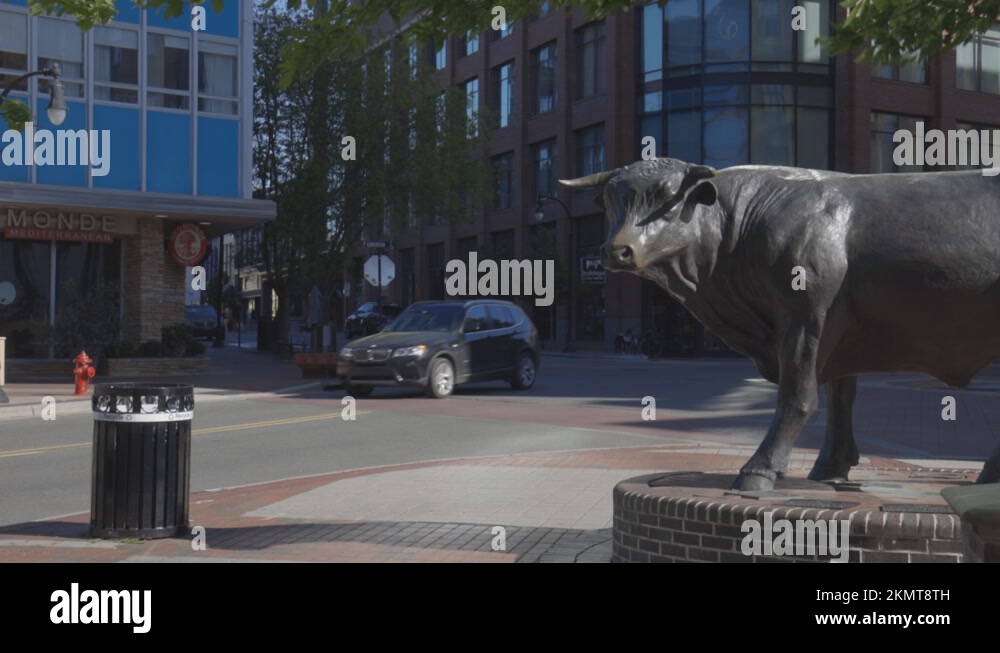 Bronze sculpture symbolic Stock Videos & Footage - HD and 4K Video ...