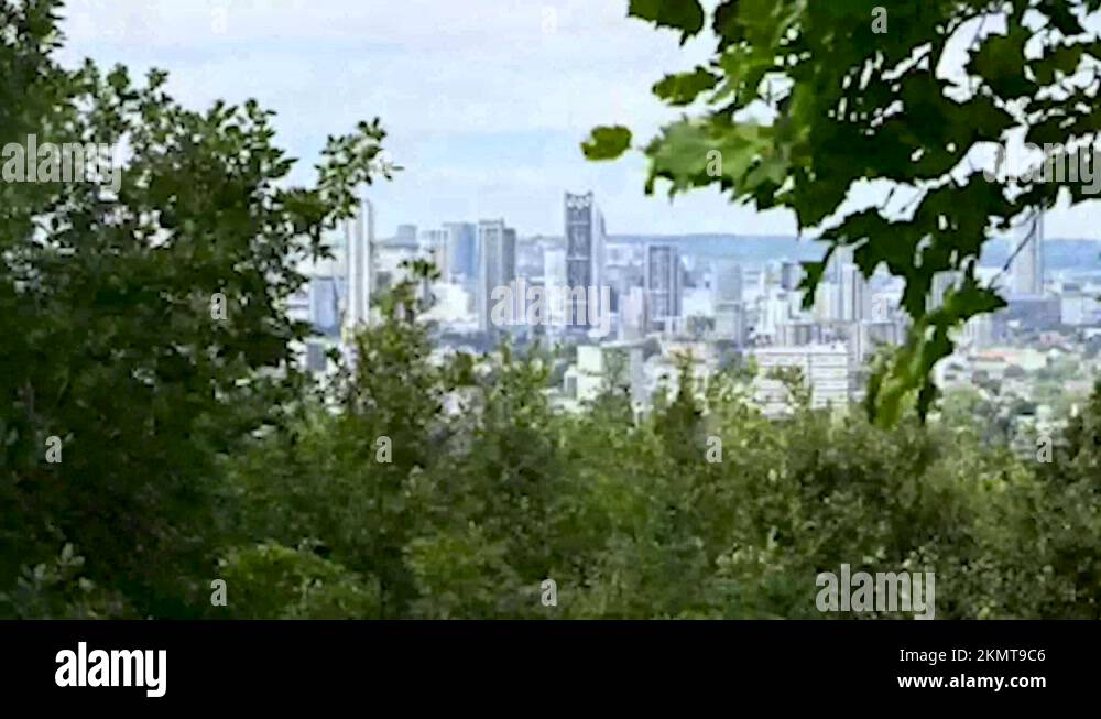 One tree hill park london Stock Videos & Footage - HD and 4K Video ...