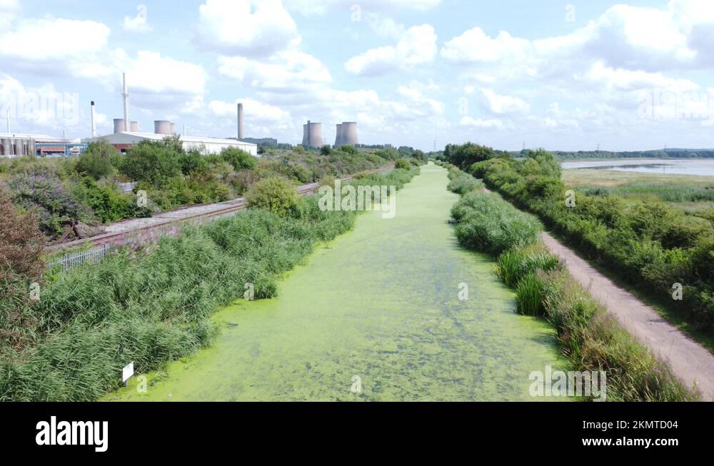 Uk waterway algae Stock Videos & Footage - HD and 4K Video Clips - Alamy