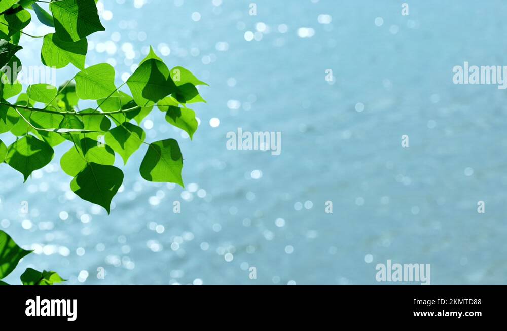 Gleaming pattern Stock Videos & Footage - HD and 4K Video Clips - Alamy