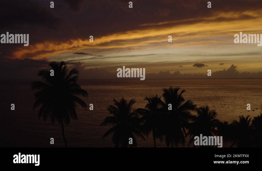 Palm Trees Silhouetted against dramatic sunset at Ostiones Beach in ...