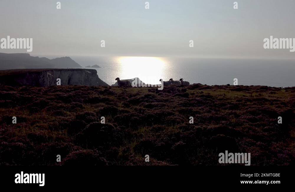 Port famine Stock Videos & Footage - HD and 4K Video Clips - Alamy