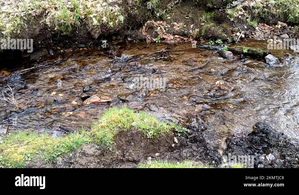 Shallow and narrow river current flowing steadily. Water is clear and ...
