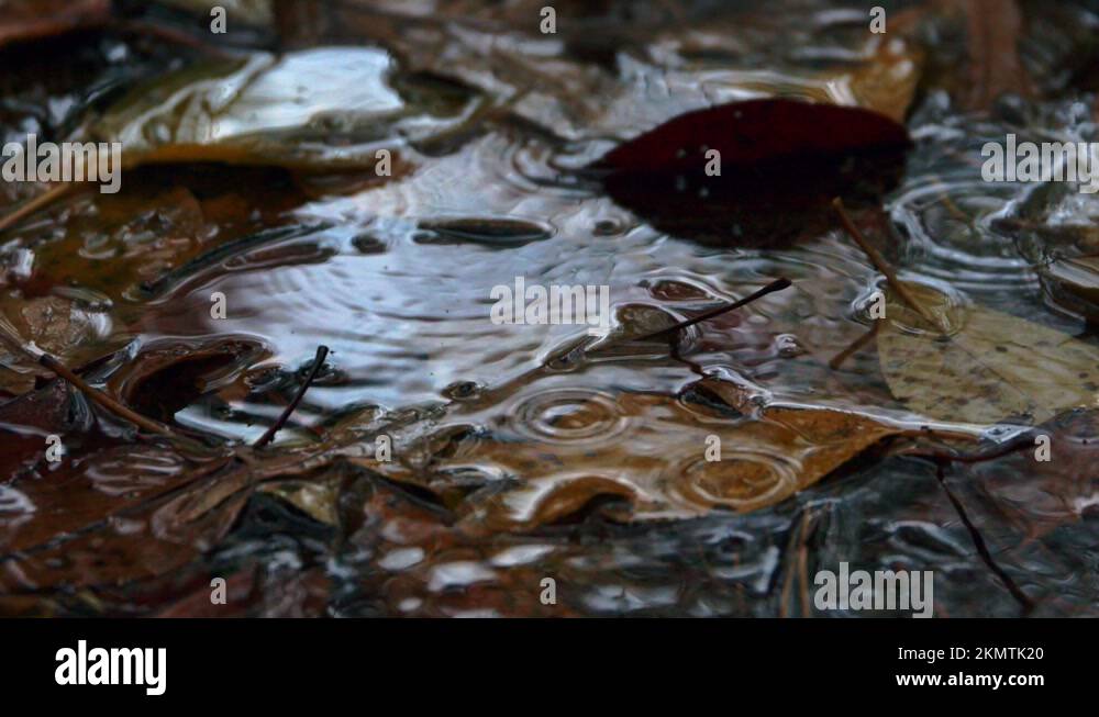 Puddle of rain water Stock Videos & Footage - HD and 4K Video Clips - Alamy