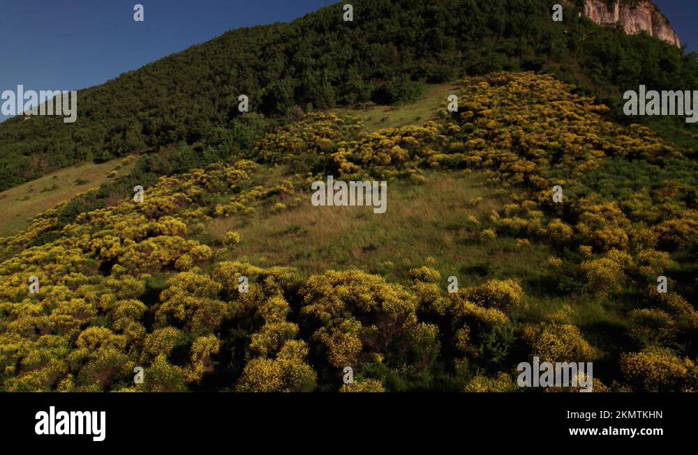 Lush Vegetation Of The Hill Near Viaduc de Millau In Aveyron, France ...