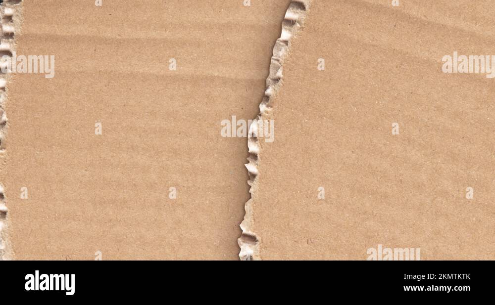 Carton texture Stock Videos & Footage - HD and 4K Video Clips - Alamy