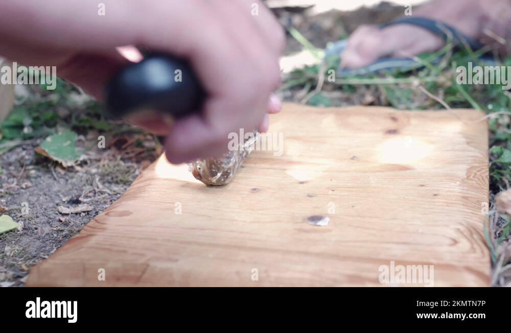 Shell fisherman Stock Videos & Footage - HD and 4K Video Clips - Alamy