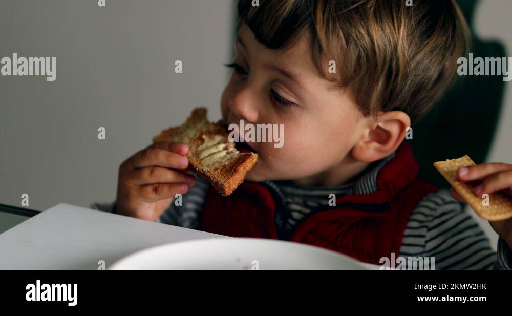 Kid eating toast Stock Videos & Footage - HD and 4K Video Clips - Alamy