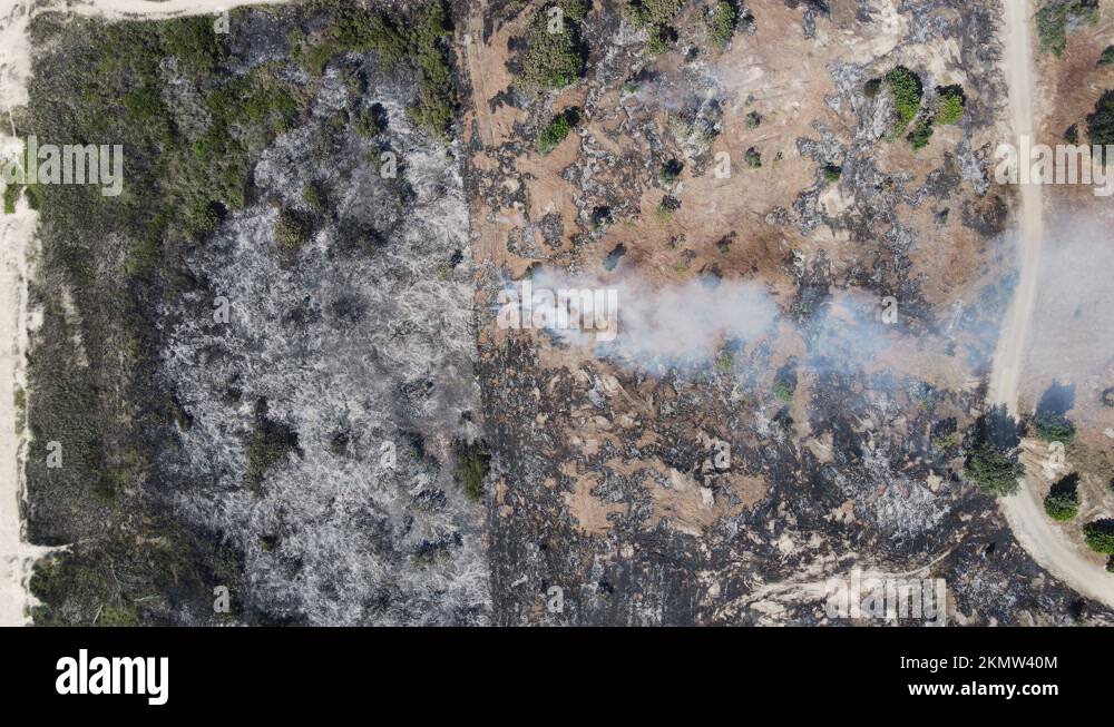 Smoke rising from the charred remains of a fire creating artistic ...