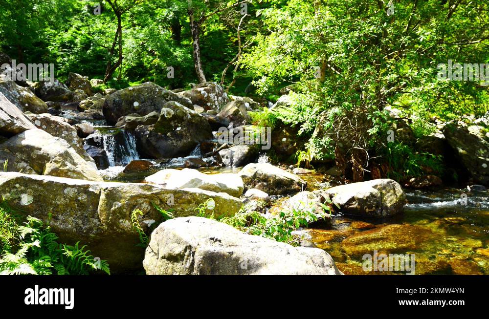 Cascading pools Stock Videos & Footage - HD and 4K Video Clips - Alamy