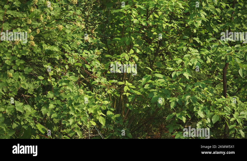 Grab tool Stock Videos & Footage - HD and 4K Video Clips - Alamy