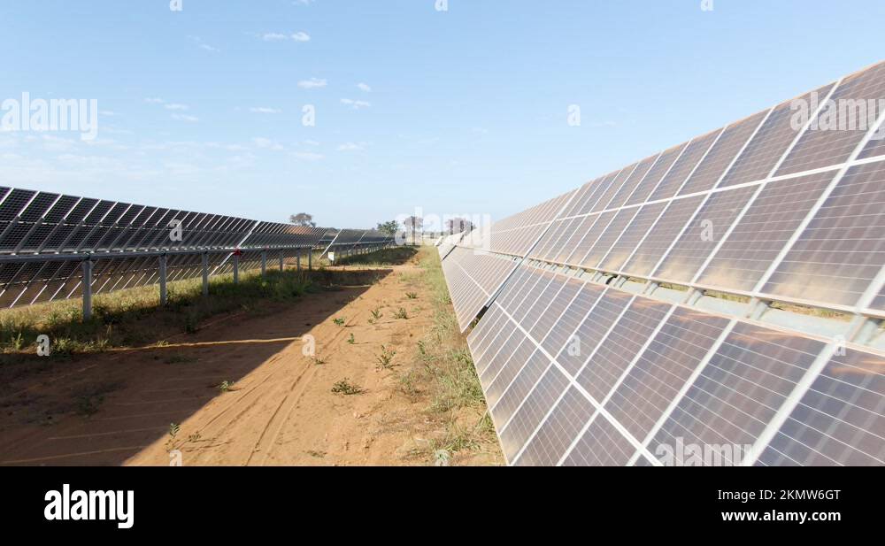 Collector plates Stock Videos & Footage - HD and 4K Video Clips - Alamy