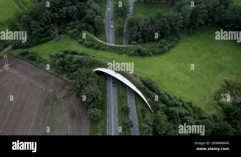 Migration corridor Stock Videos & Footage - HD and 4K Video Clips - Alamy