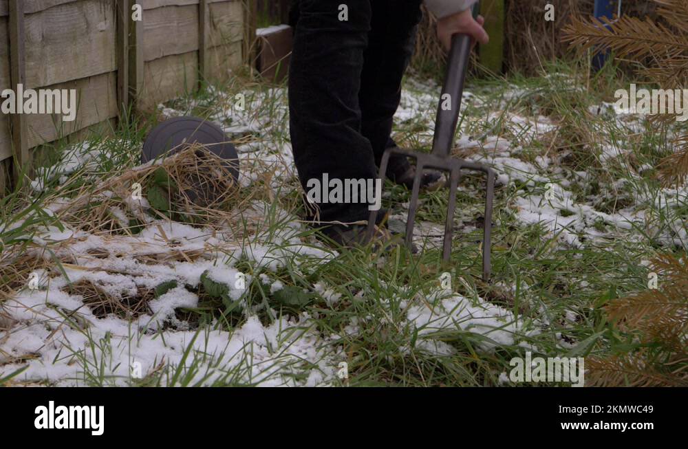 Digging with fork Stock Videos & Footage - HD and 4K Video Clips - Alamy