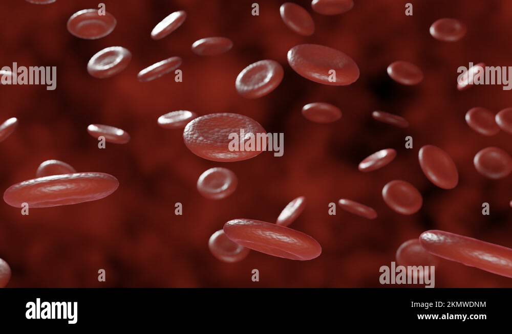 Red blood cells moving in Stock Videos & Footage - HD and 4K Video ...