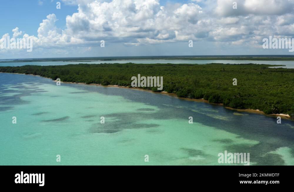 Cancun nature reserve Stock Videos & Footage - HD and 4K Video Clips ...