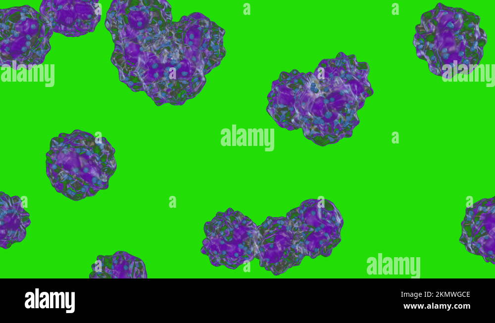 White blood cells flow, Basophils, Green Screen Chromakey Stock Video ...