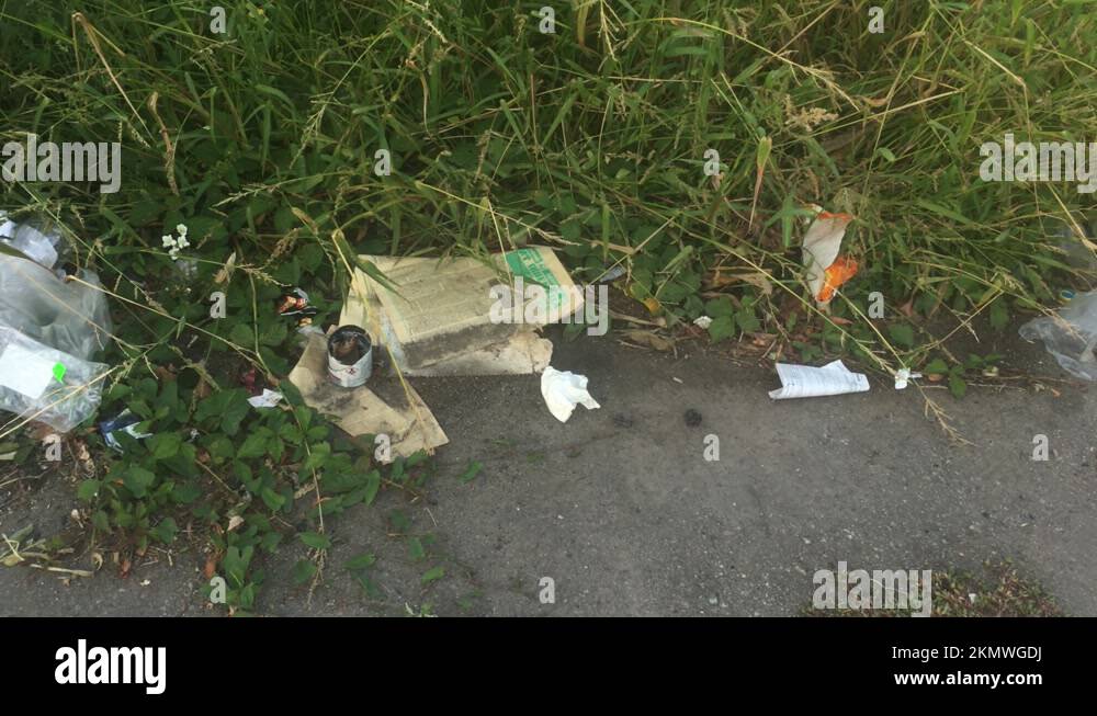 Rubbish in grass Stock Videos & Footage - HD and 4K Video Clips - Alamy